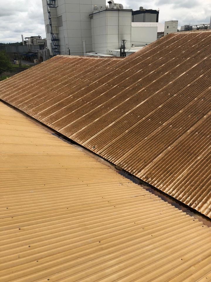 Roofing Gallery | Wren Roofing | Hamilton | Waikato